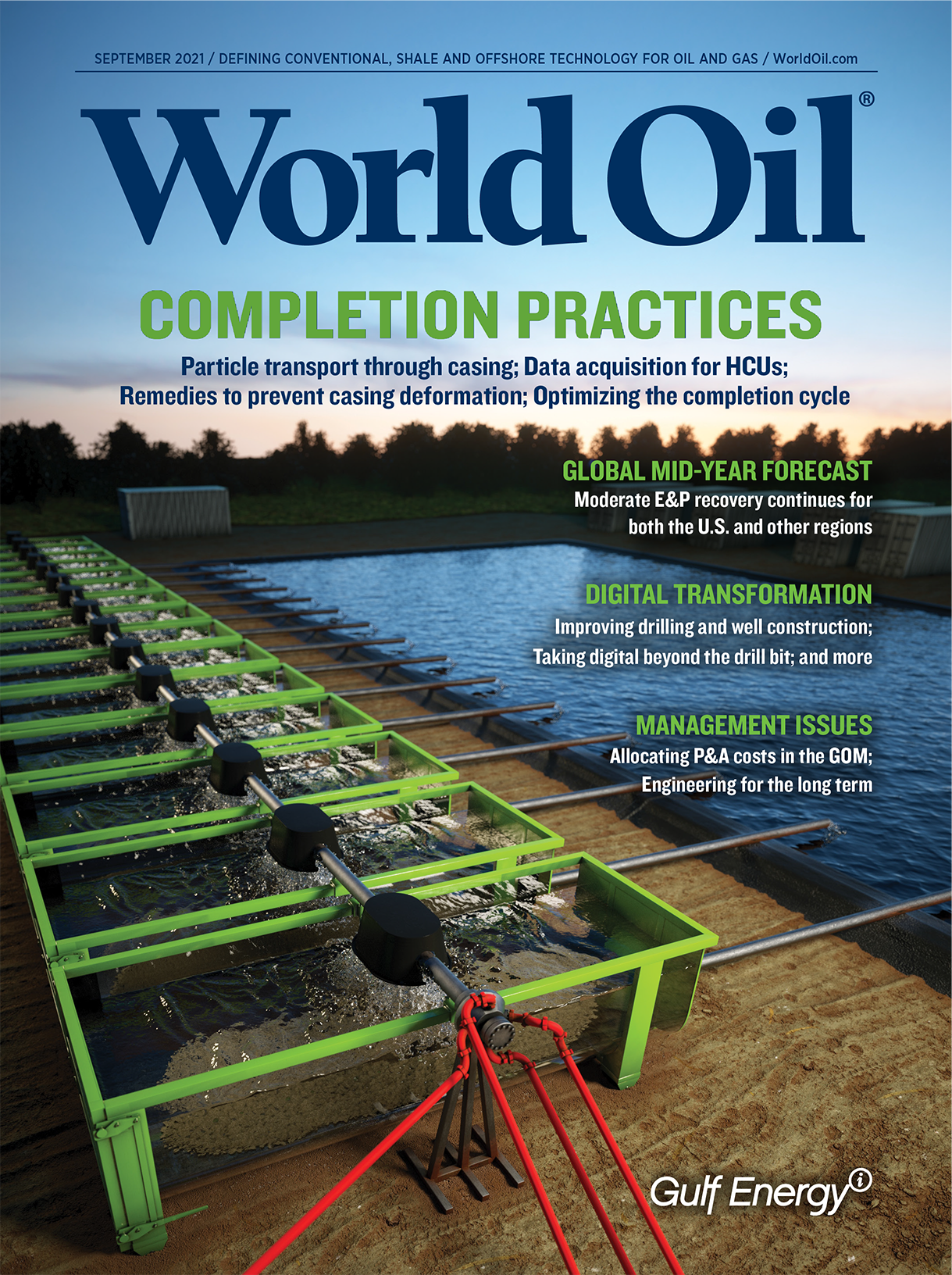 Downhole Perforating and Completions Solutions